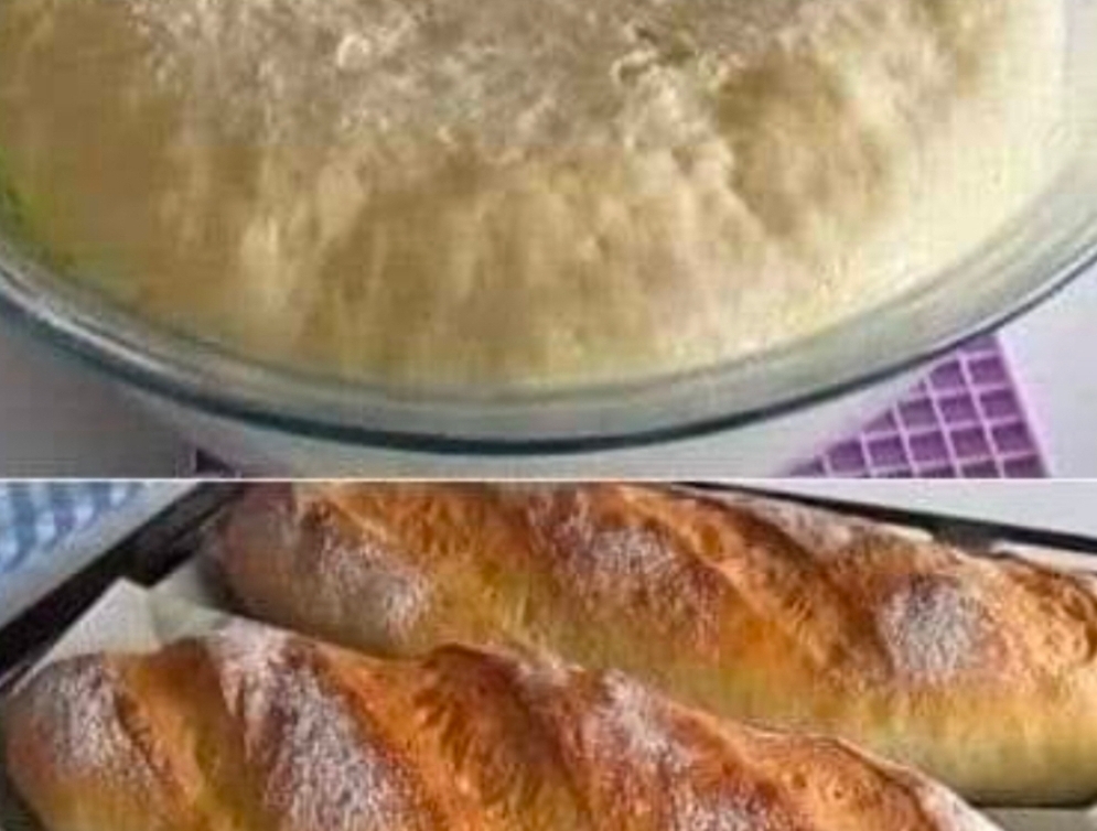 Homemade Bread Recipe – RecipeLink